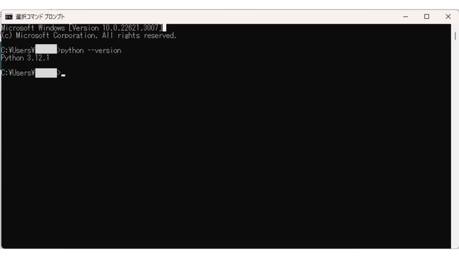 【初心者必見】失敗しないpythonの始め方マニュアル！インストール方法をわかりやすく解説 Pythonのソバ